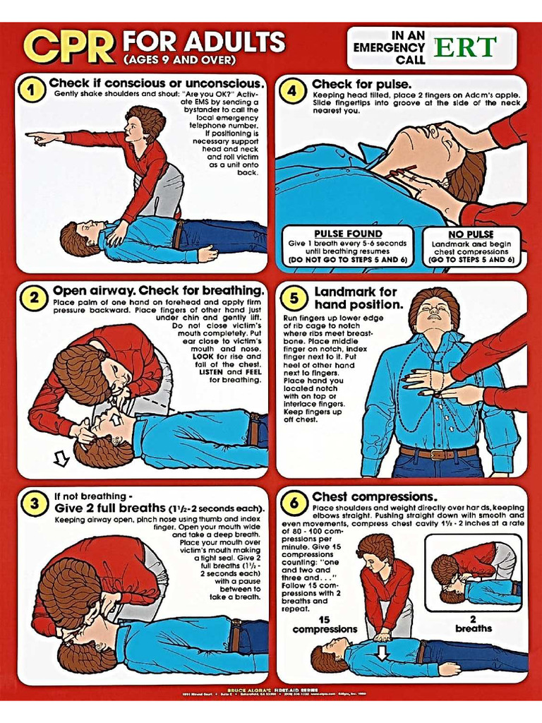 CPR for Adults | PDF