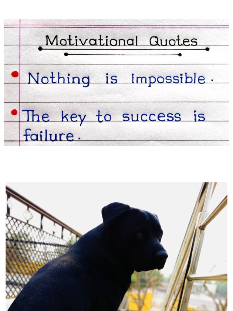 Dog Motivation | PDF