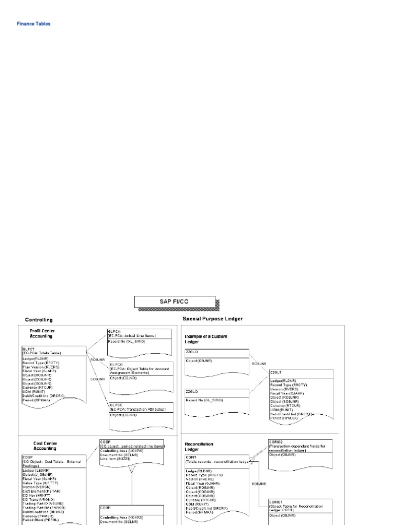 SAP Finance Tables Overview | PDF | Financial Transaction | Accounting