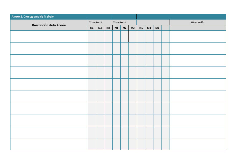 Formato Seguimiento Colmena | PDF