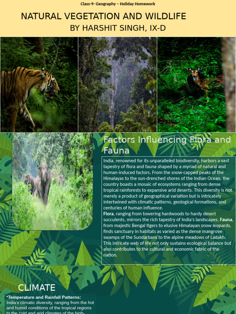 SST Geography Holiday Homework | PDF