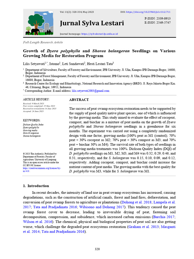 Pertumbuhan Shorea Balangeran Dan Dyera Polyphylla Di Berbagai Media ...