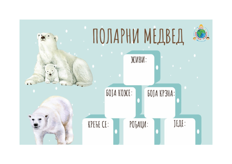 Polarni medved | PDF