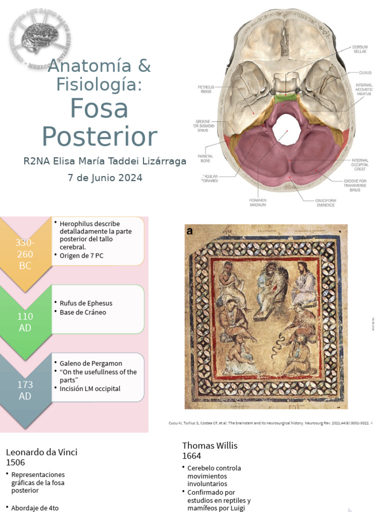 Fosa Posterior Final | PDF