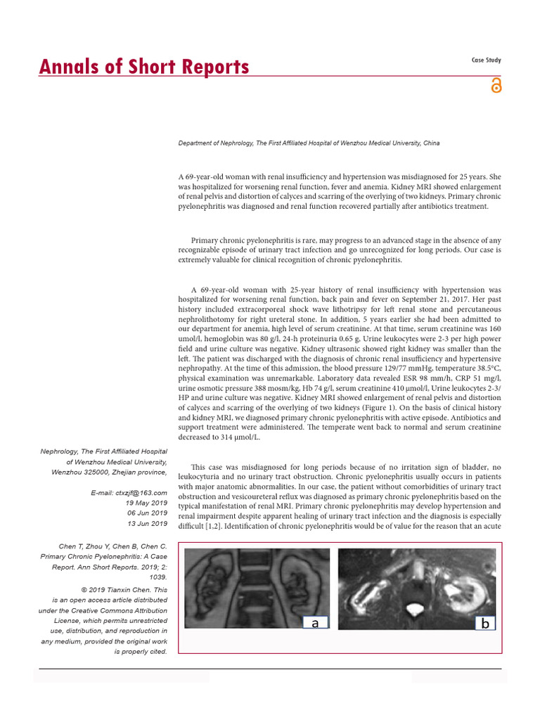 Primary Chronic Pyelonephritis A Case Report 689 | PDF