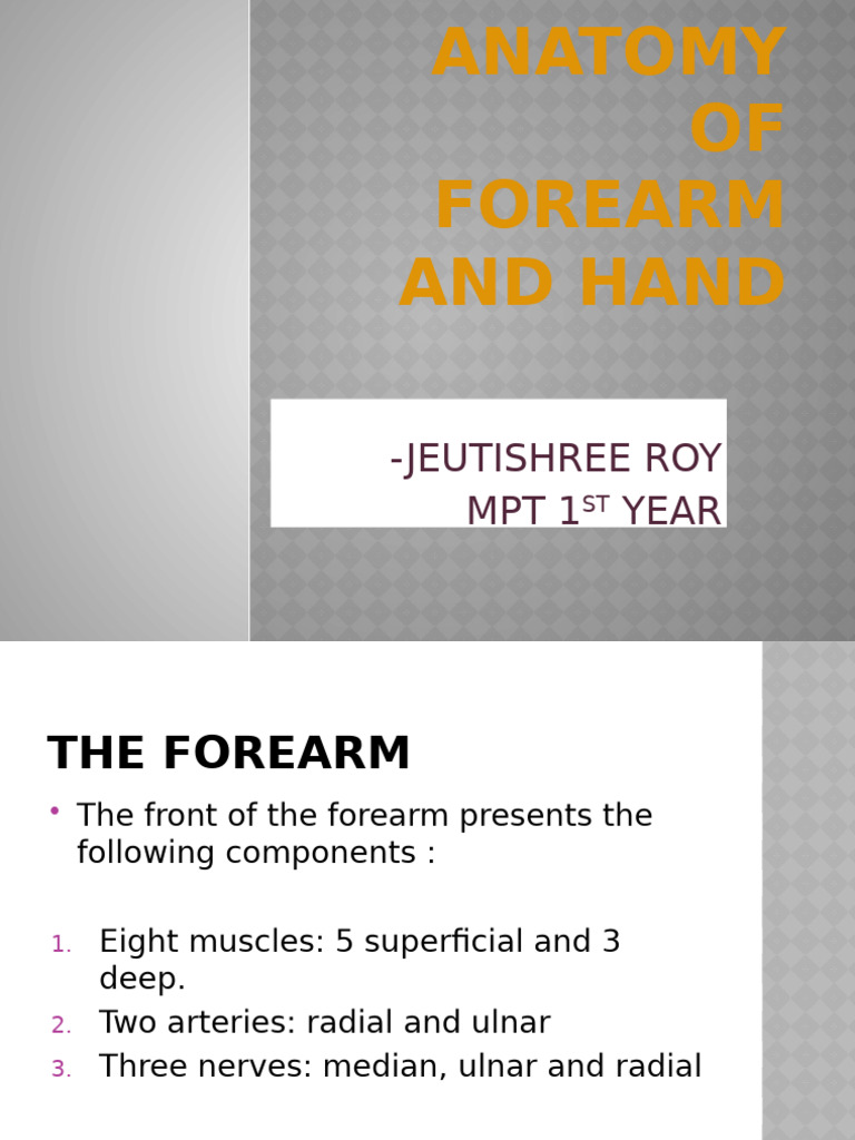 Anatomy of Forearm and Hand | PDF