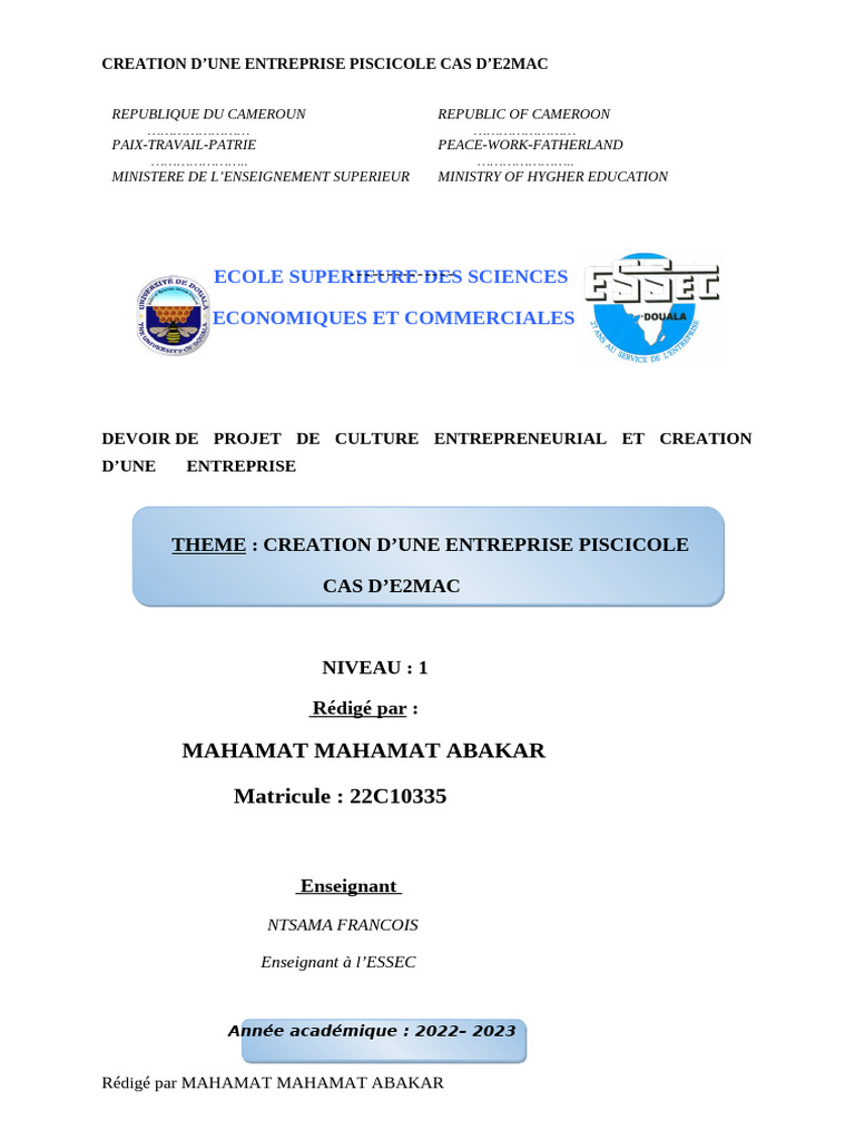 Mahamat Mahamat Abakar | PDF