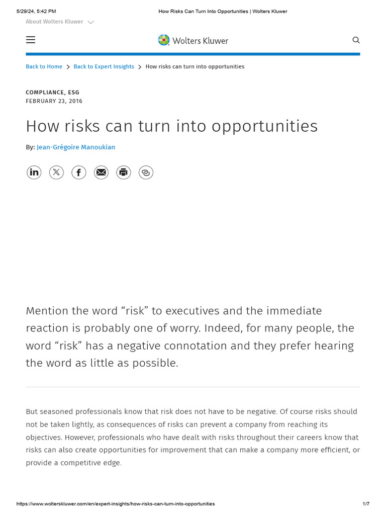 Risks and Opportunities | PDF