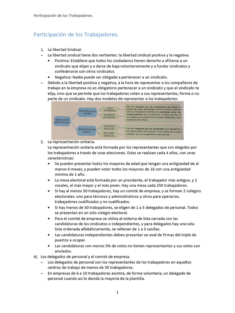 5.Participaciขn de los Trabajadores. | PDF