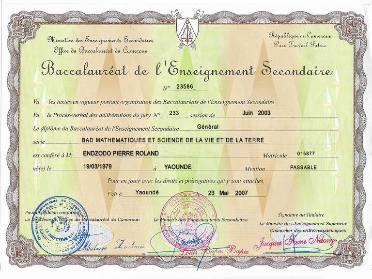 PDF Bac - Copie | PDF