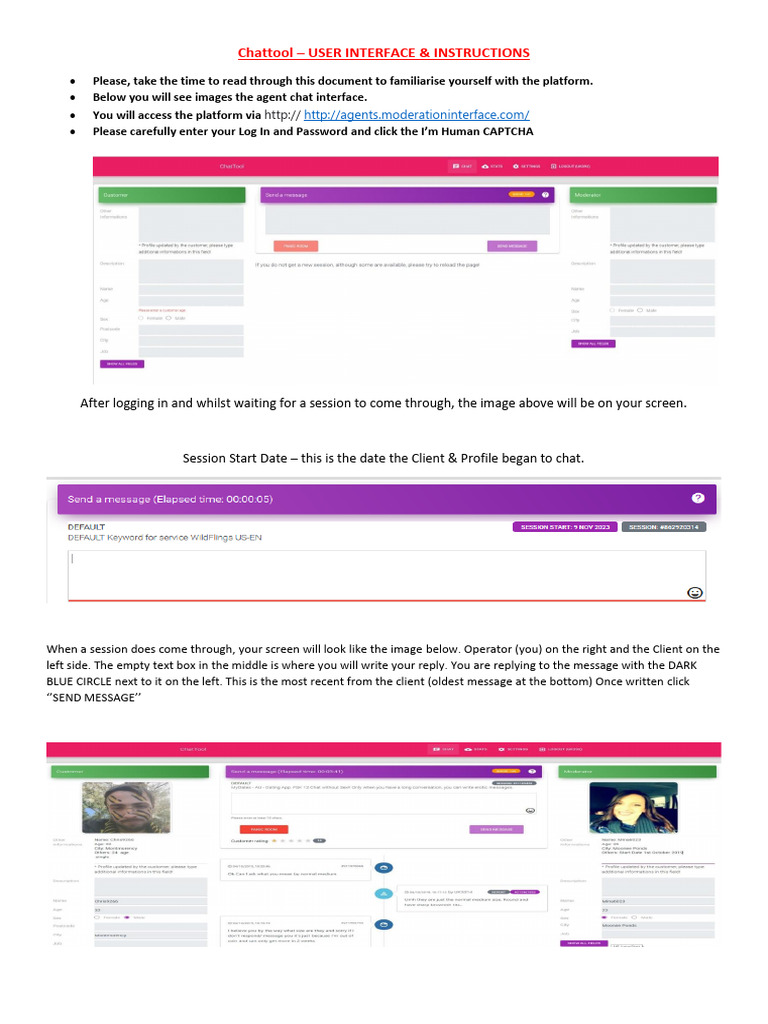 Chat Interface User Manual | PDF