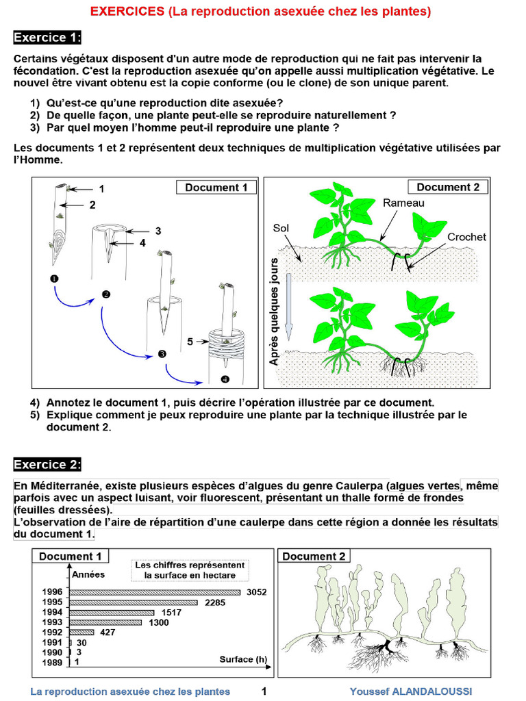 Exercices Unit2 4 | PDF