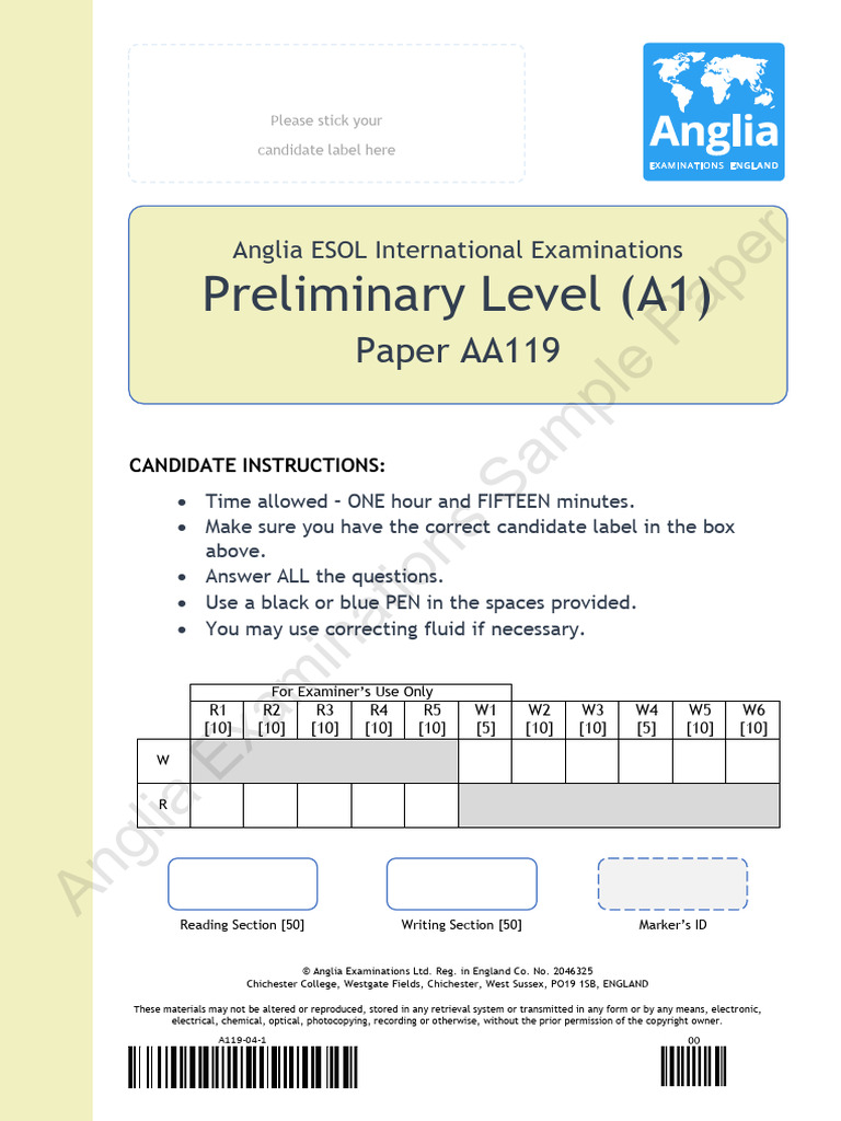 Preliminary Template AA119 | PDF