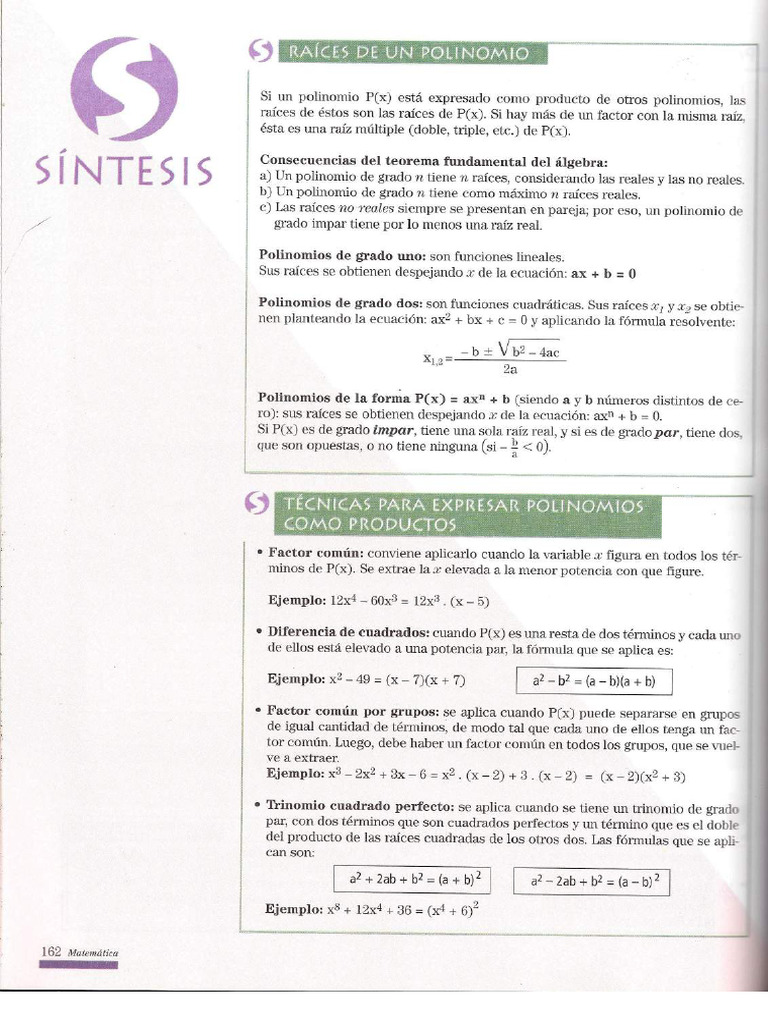 síntesis funciones | PDF