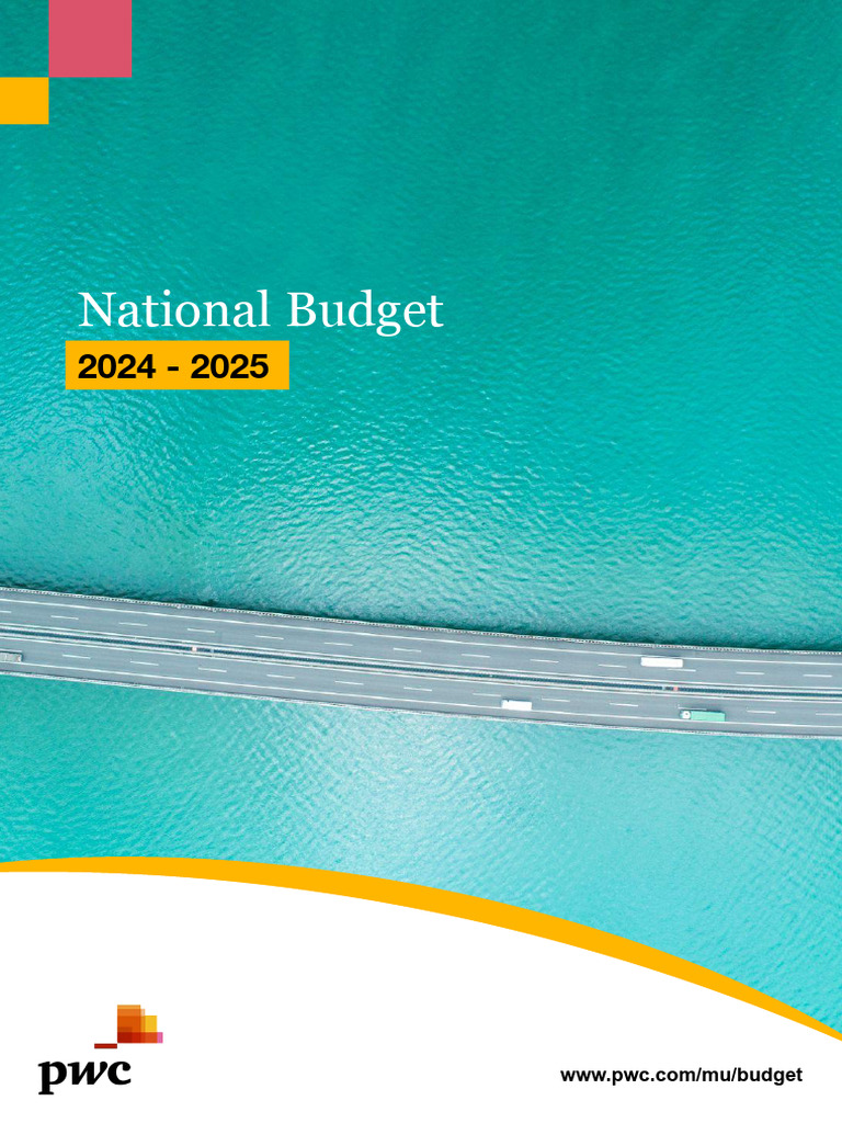 PWC National Budget Brief 2024 2025 | PDF