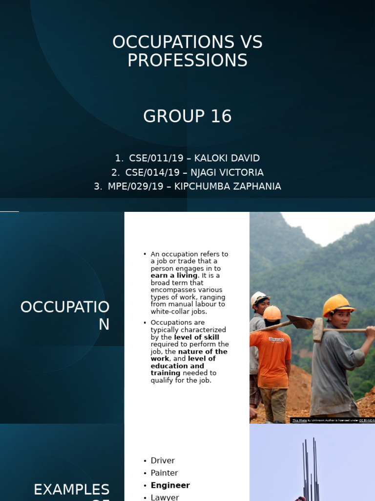 Group 16.occupations Vs Professions | PDF