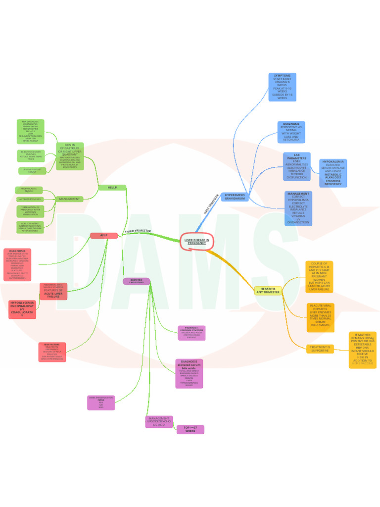 19 Jan - Obgy - Map 07 (DR Deepti) Dams DVT 2022 | PDF