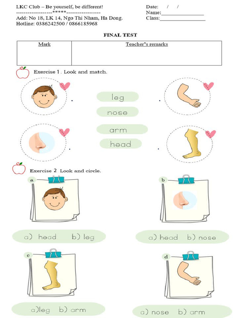 1 Paper Test Bunny Body Part | PDF
