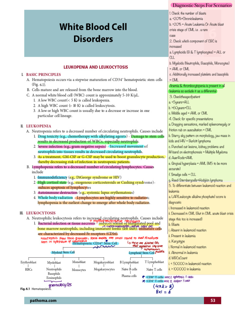 UD WBC Shortlisting | PDF