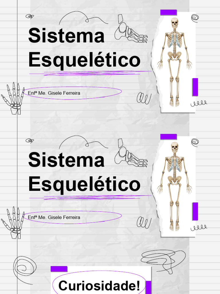 Aula 2 - Anatomia - Osso | PDF