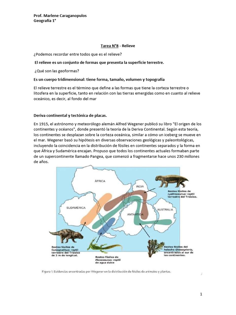 Tarea N°8 Relieve América y Argentina | PDF
