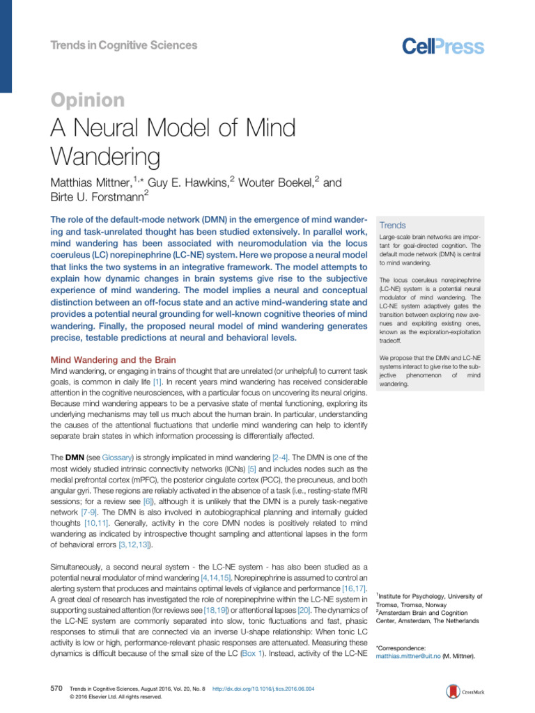 A Neural Model of Mind Wandering | PDF | Mind Wandering | Mind