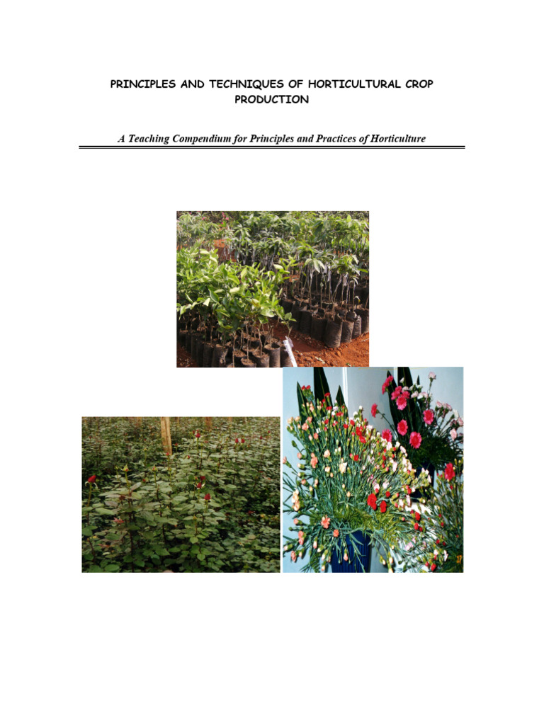 HT 101 Notes - Part 1 | PDF