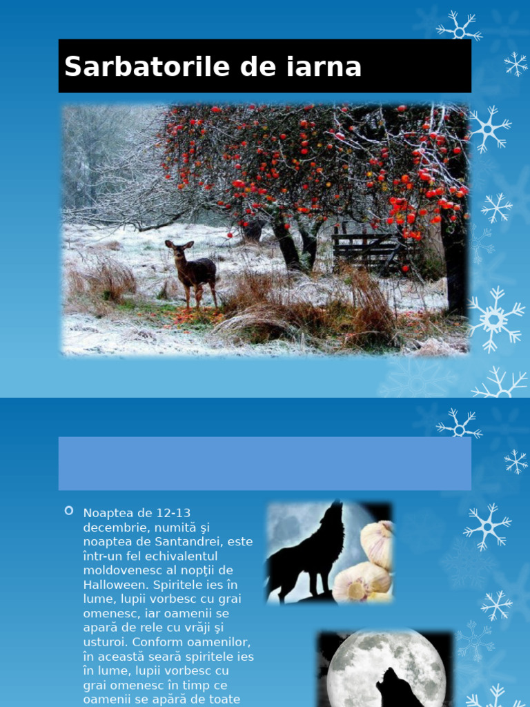 Sarbatorile de Iarna | PDF