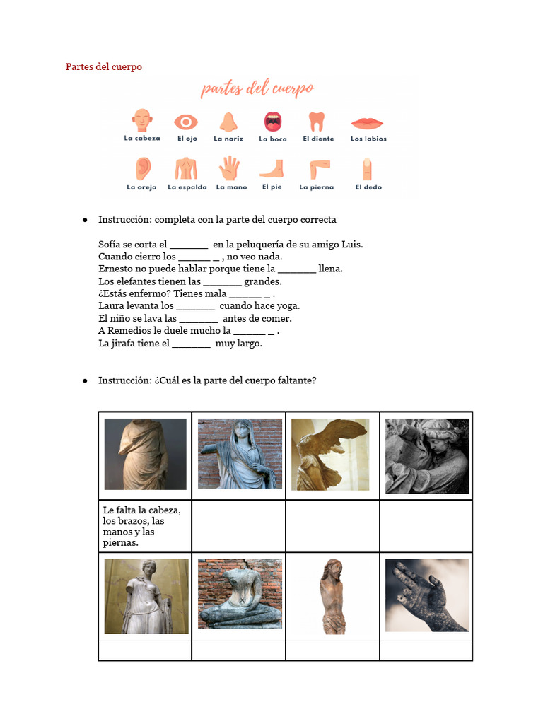Partes Del Cuerpo y Salud | PDF