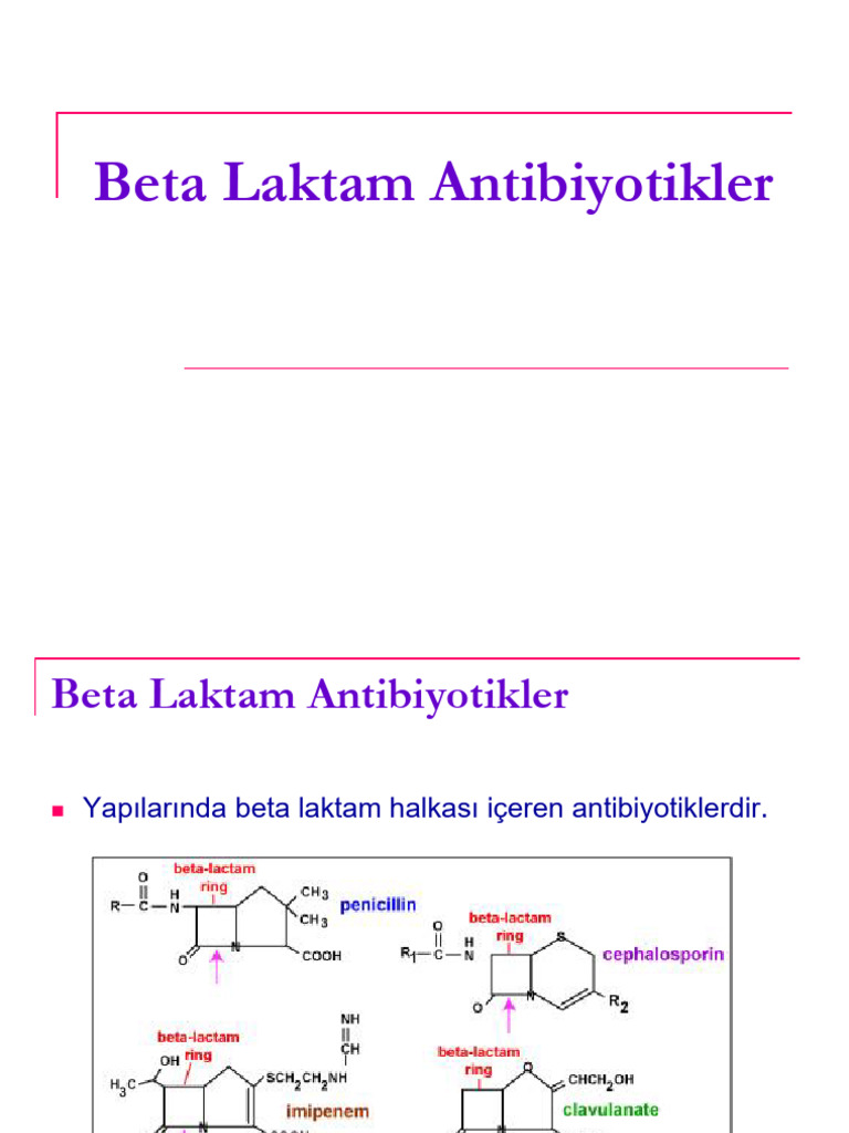 2018-Beta Laktam-Açık Ders | PDF