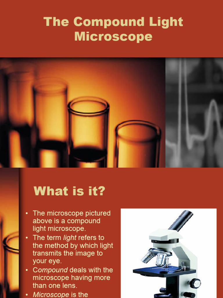 Compound Light Microscope Pdf