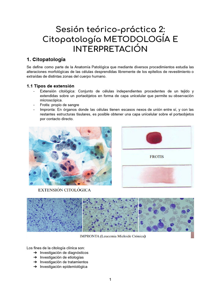 2.wuolah Free TEMA 2 Citopatologia METODOLOGIA E INTERPRETACION Gulag Free | PDF
