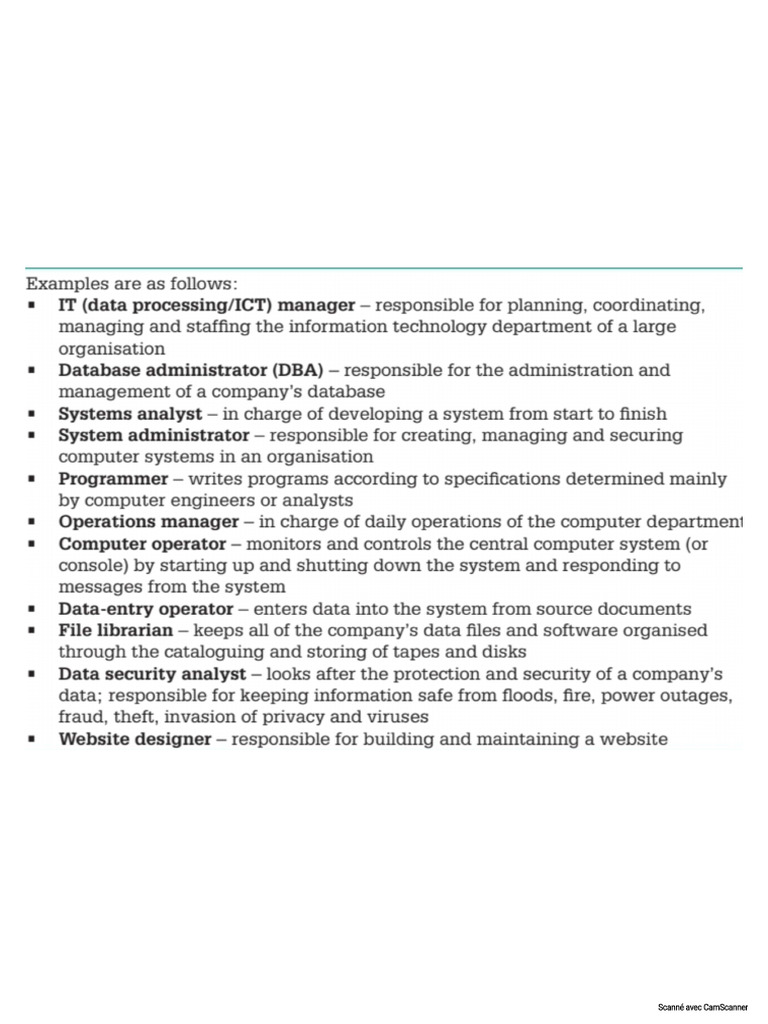 IT Jobs Descriptions | PDF