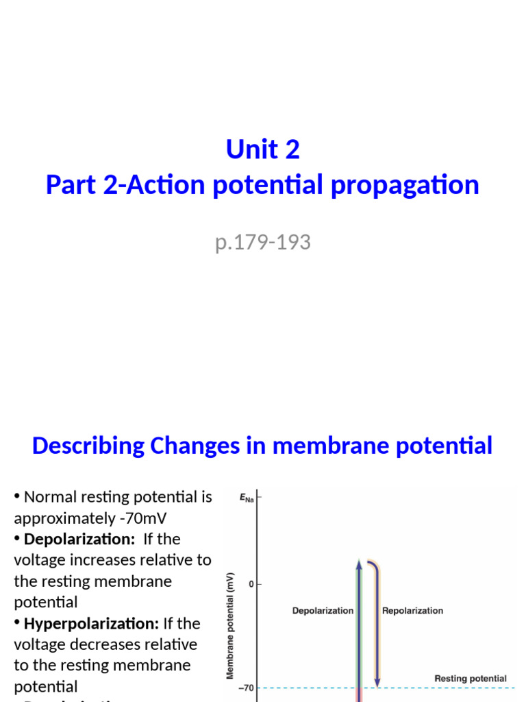 Unit 2-Part 2 Action Potential | PDF