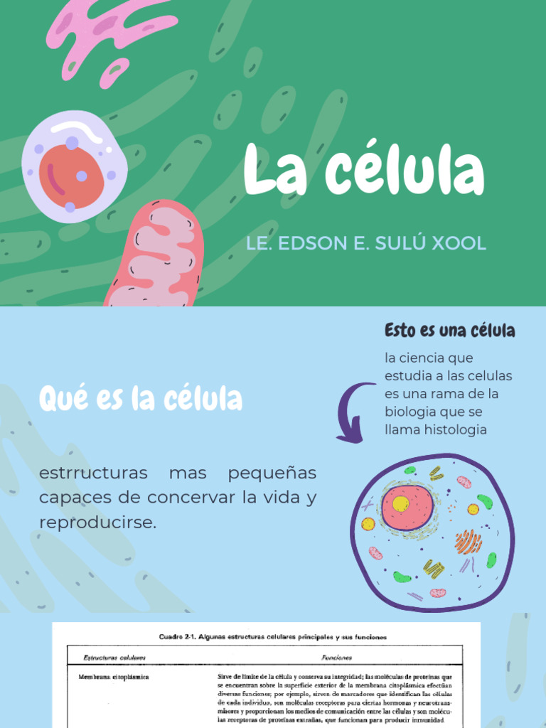 La Celula | PDF