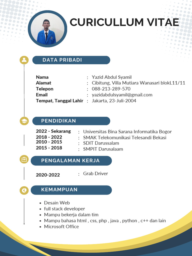 Blue Light Blue Color Blocks Flight Attendant CV | PDF