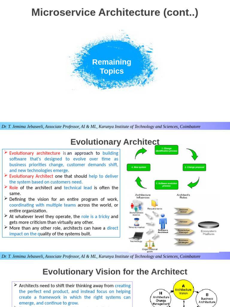 6.Evolutionary Architect | PDF