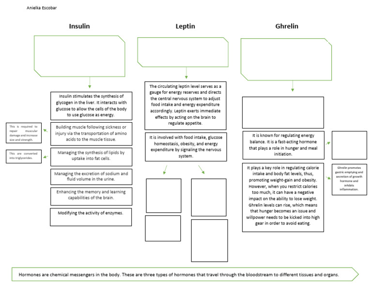 Insulin, Leptin and Ghrelin | PDF