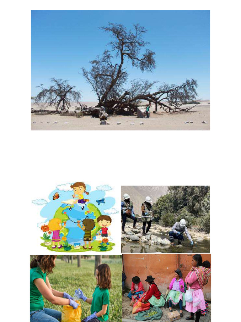 Huarango Milenario | PDF