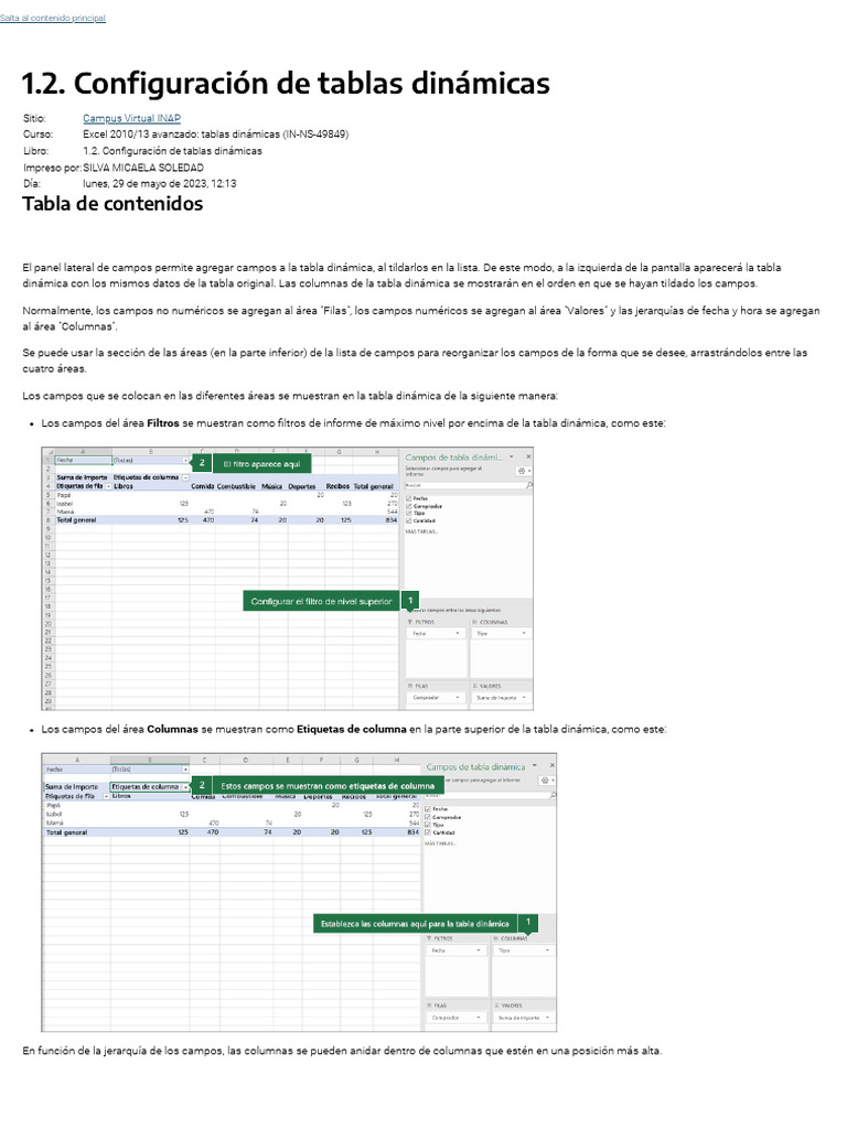 1.2. Configuración de Tablas Dinámicas | PDF