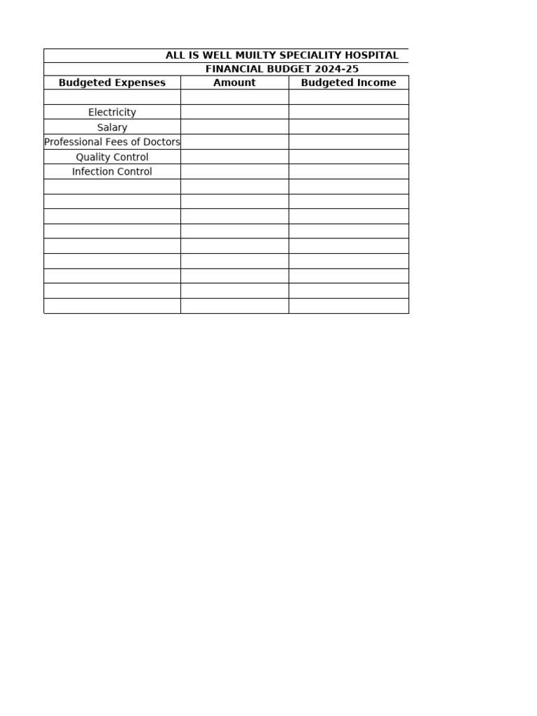 Hospital Budget 2024-25 | PDF