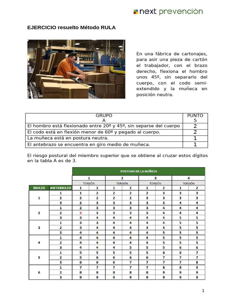 Ejercicio Resuelto RULA | PDF