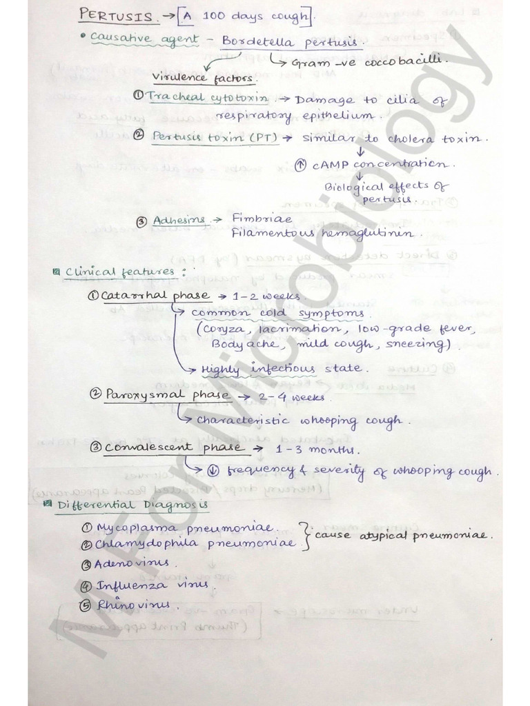 Pertusis Part 1 | PDF