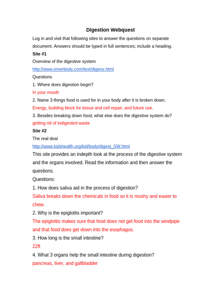 Anna Madi - Digestion WebQuest | PDF