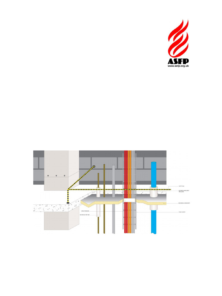 ASFP Advisory Note 1 | PDF | Risk | Safety