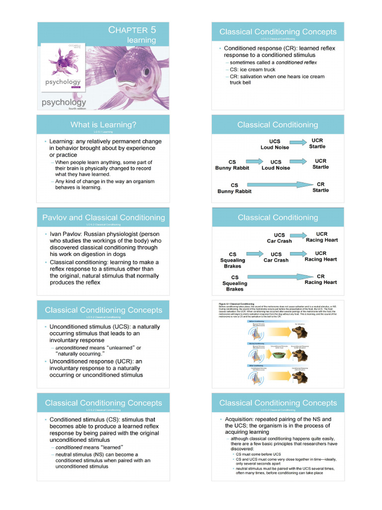 BPSY 50 - Chapter 4 PT. 1 - Learning | PDF