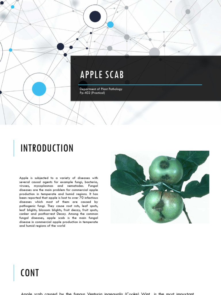 01.apple Scab 402 2021 | PDF