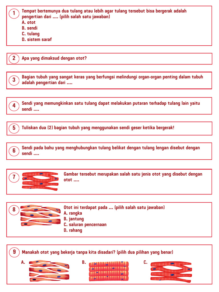 Soal IPA OTOT SENDI RANGKA | PDF