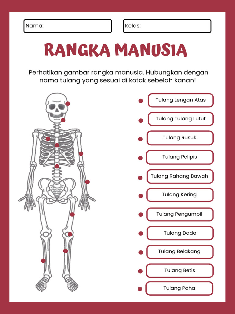 LKPD Rangka Manusia Kelas 6 - 2 | PDF