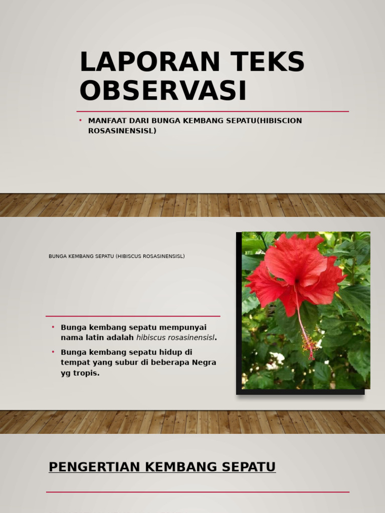 Presentasi (1) Proyek | PDF